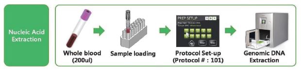 ExiPrep™ Dx Blood Genomic DNA Kit