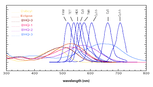 Dual Labeled Probes from Bioneer