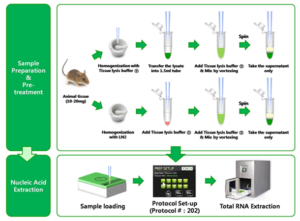 ExiPrep™ Tissue Total RNA Kit (96 reactions)