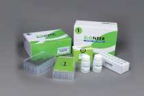 ExiProgen™ EC-Maxi Protein Synthesis Kit (8 reactions)