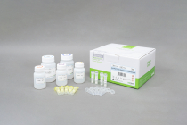 AccuPrep® Plant Genomic DNA Extraction Kit (100 reactions)