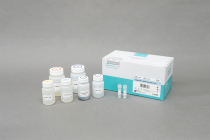 MagListo™ cfDNA Extraction Kit