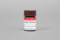 3’-TAMRA CPG (1000Å)