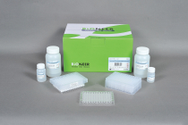 AccuPrep® Genomic DNA Extraction Kit for 96 well vacuum block (96 well x 2)