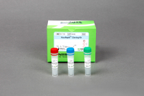 AccuRapid™ Cloning Kit