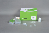 ExiPrep™ Plus Bacteria Genomic DNA Kit (96 reactions)