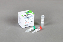 Taq DNA Polymerase, 10X Reaction Buffer with MgCl2 (500 units)