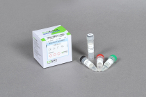 M-MLV Reverse Transcriptase (10,000 units)