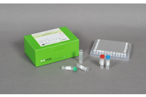 AccuPower® HIV-1 Quantitative RT-PCR Kit