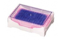 IsoFreeze PCR Tube Rack, for 0.2 ml PCR tubes, purple↔pink (2 racks/set)