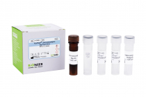 AccuPower® Listeria monocytogenes Real-Time PCR Kit