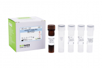 AccuPower® Clostridium difficile Real-Time PCR Kit