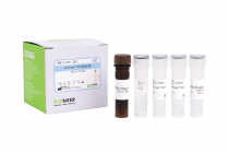 AccuPower® PRV Master Mix / Real-Time PCR Kit