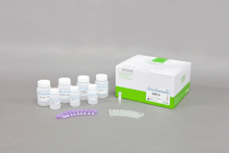 AccuPrep® Plasmid Mini Extraction Kit