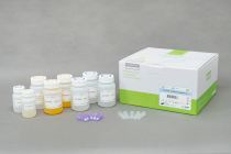 AccuPrep® PCR/Gel Purification Kit