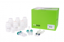 AccuPrep® Nano-Plus Plasmid Maxi Extraction kit (10 reactions)