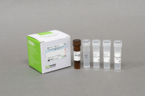 AccuPower® Peanut Real-Time PCR kit