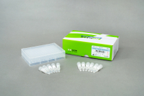 ExiProgen™ Protein Expression Optimization Kit