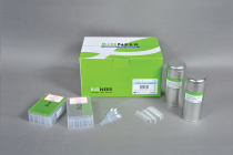 ExiPrep™ Tissue Total RNA Kit (96 reactions)
