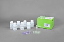 AccuPrep® Nano-Plus Plasmid Extraction Kit